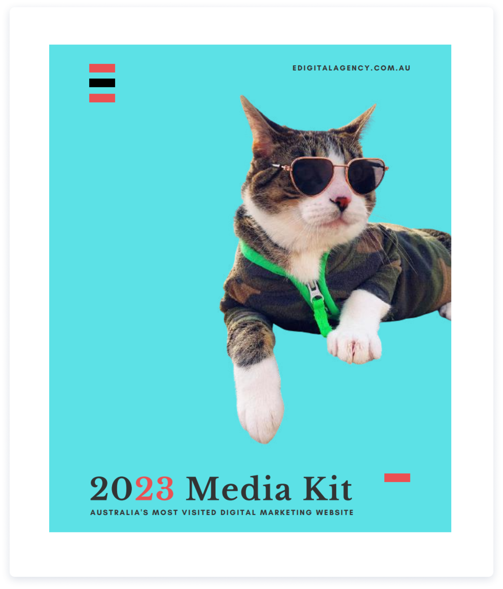 How to Create a Media Kit: Main Elements, Formats, and Examples - FlippingBook Blog